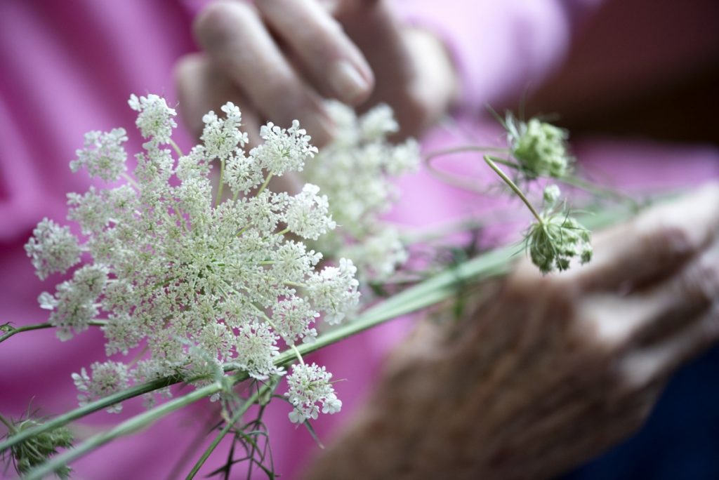 DeMott to discuss ‘Flowers for Mom’ for BTG - The Chautauquan Daily