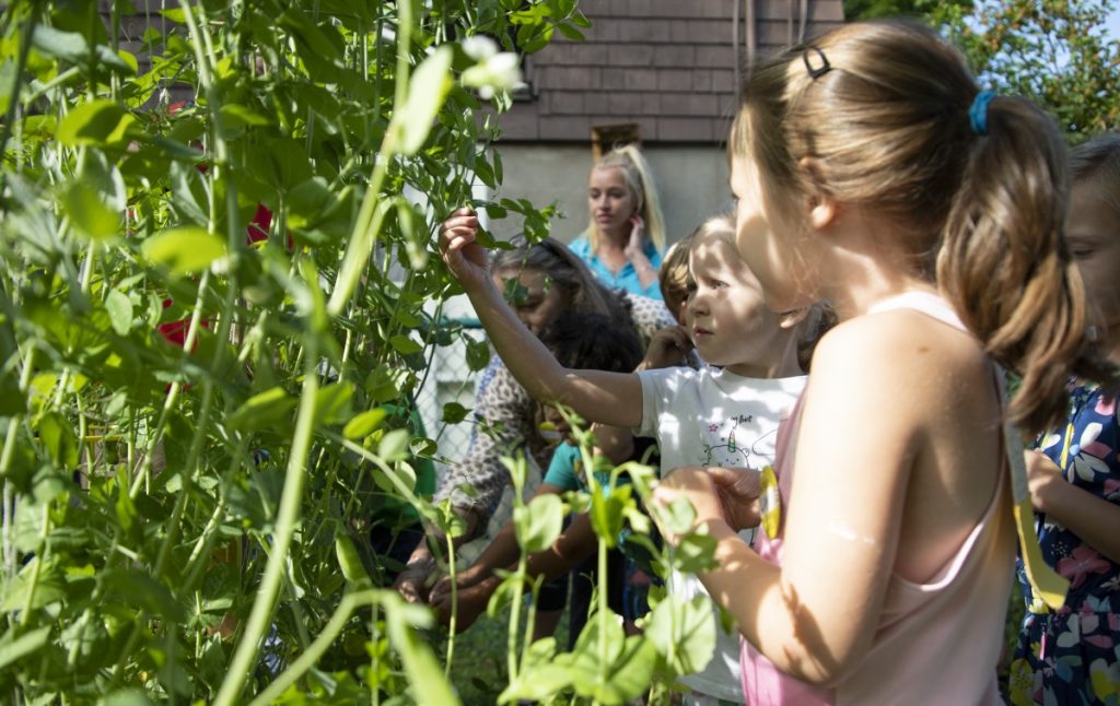 Children's School learns to grow food from master gardeners - The ...