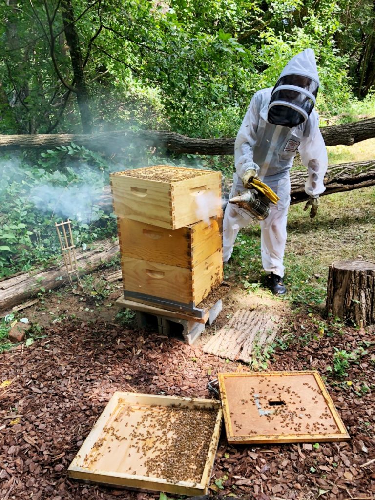 Bee-lieve it: Beekeepers to Give Talk on Importance of Pollination in ...