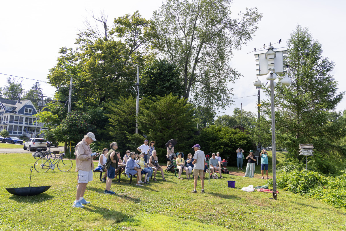 BTG’s Jack Gulvin to present final Purple Martin Chat of season - The ...